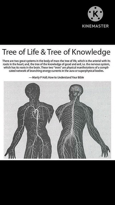 Tree of Knowledge/Tree of Life: You are a manifestation of The Most ...