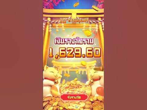 แมว คิวคิว คิ้วท์ QQ101 - YouTube