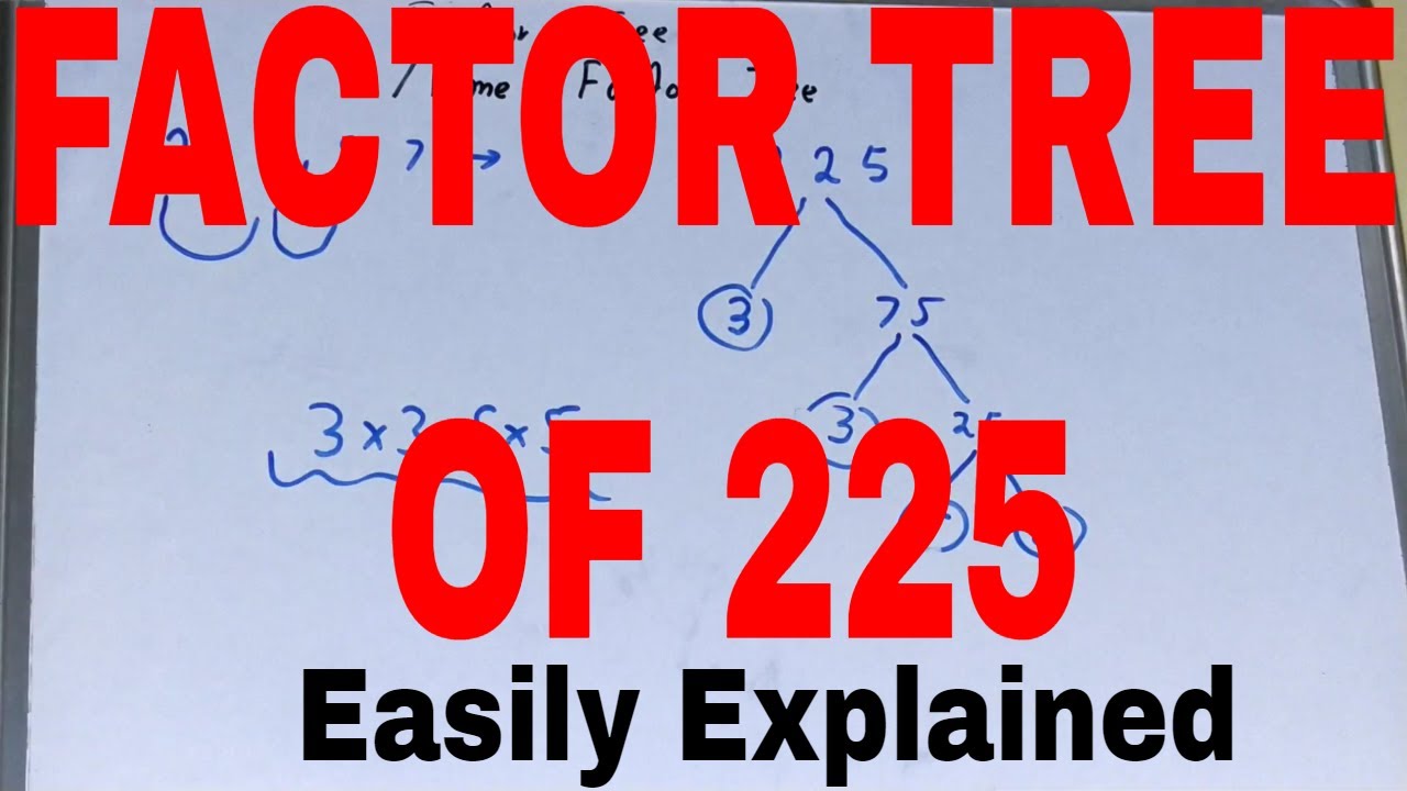 Factor Tree Of 225 How To Draw Factor Tree Of 225 Find Factor Tree Of factor-tree-of-225-how-to-draw-factor-tree-of-225-find-factor-tree-of