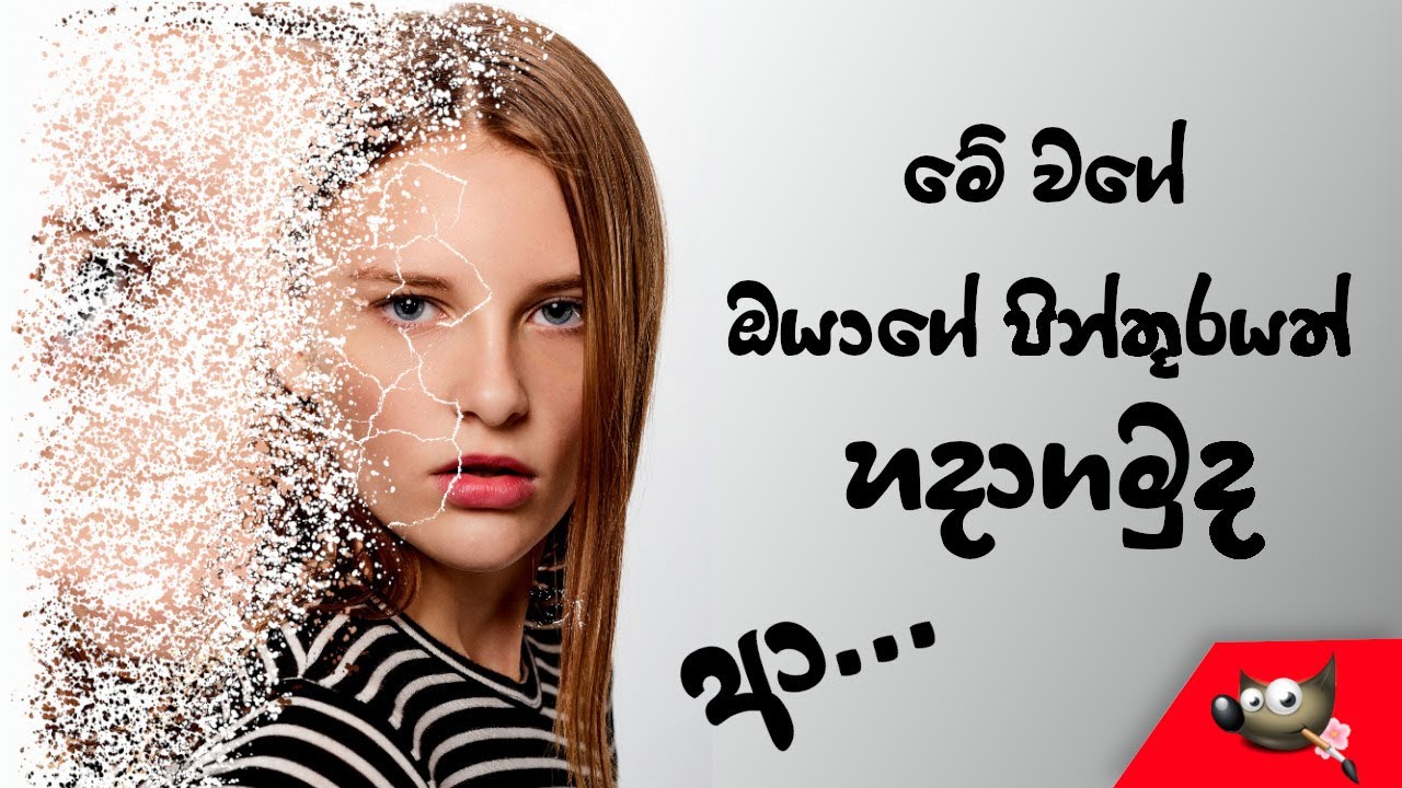 GIMP Tutorial_ Disintegration Effect - Sinhala Tutorial - YouTube