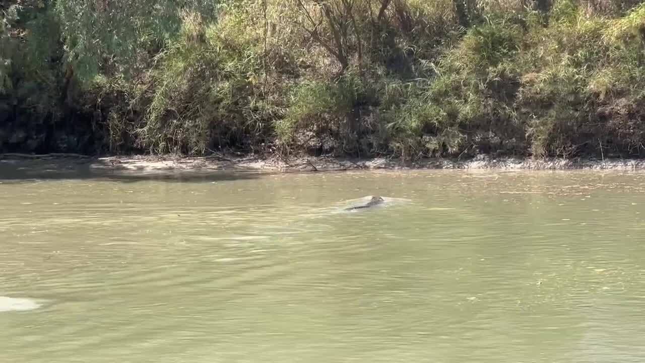 Fisherman Has Plenty of Crocs for Company at 'Infamous' River Crossing ...