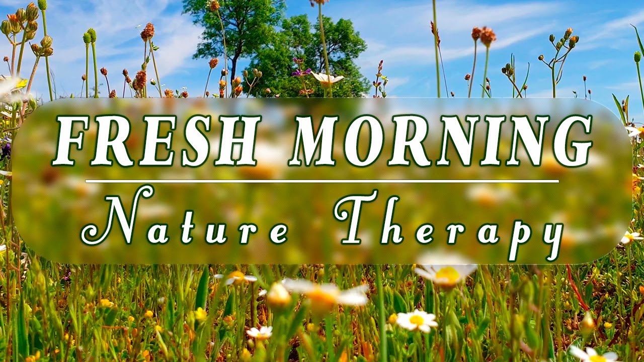 Good Morning Meadow GOOD MORNING MUSIC Positive Energy & Harmony