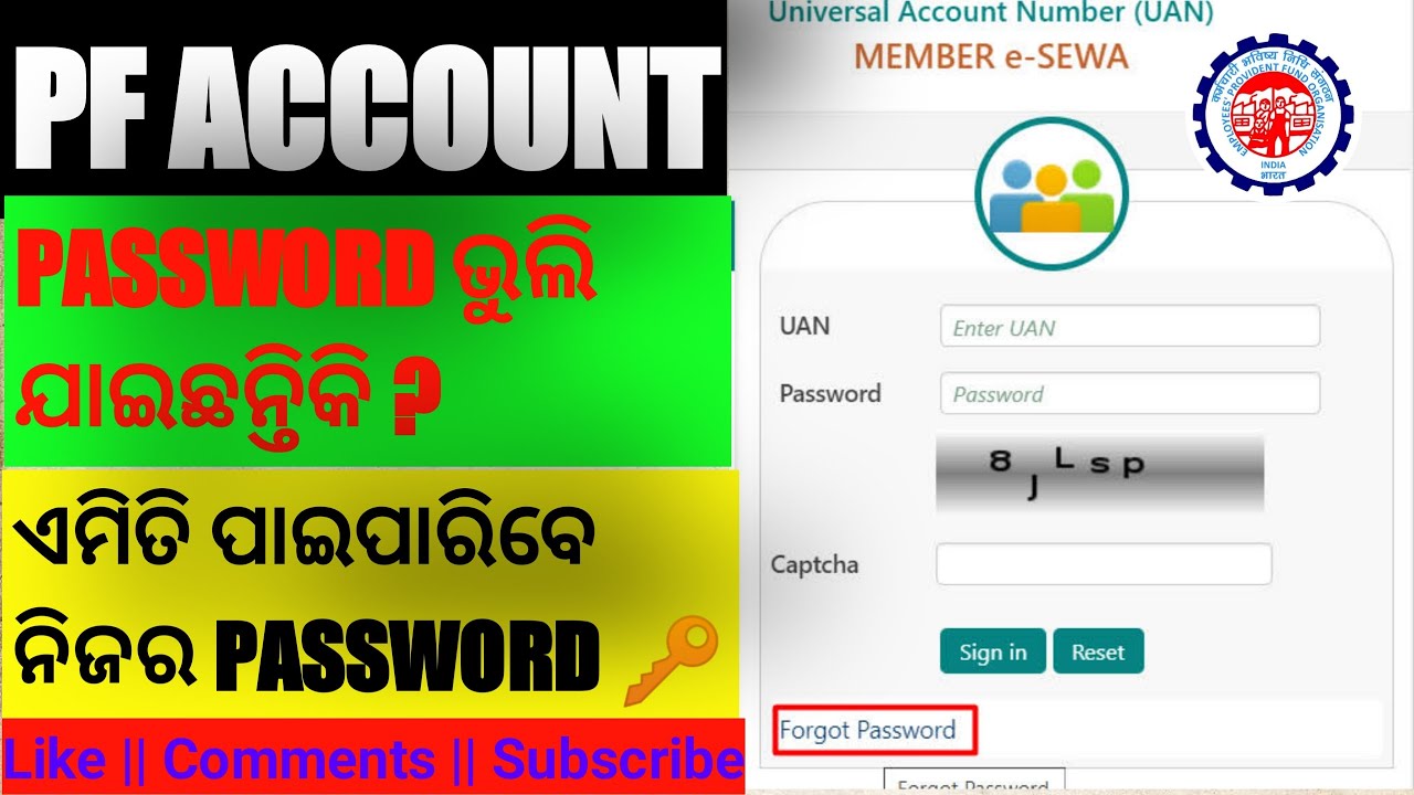 HOW TO CHANGE OR RESET PF PASSWORD || PF ରେ ପାଶୱର୍ଡ ପାଇବେ କିପରି ଦେଖନ୍ତୁ ...