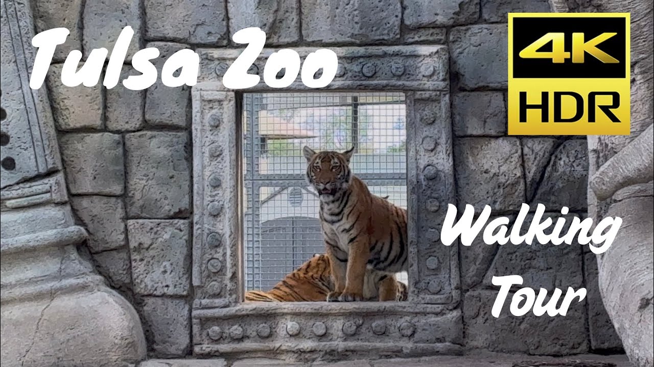 Tulsa Zoo - Walking Tour (4K) - YouTube