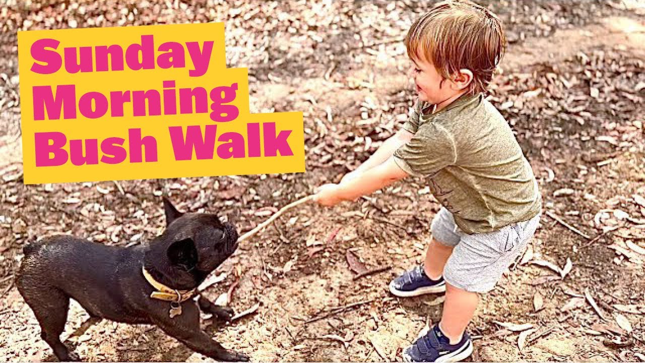 Sunday Morning Bush Walk | Dogs and Children - YouTube
