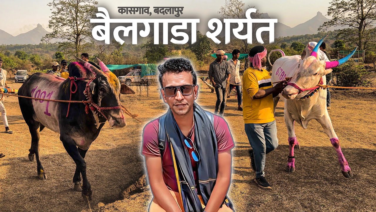 Mathur 1001 & Ranvir 6780 Win Binjod Sharyat 2023 😍 | Bailgada Shayat ...