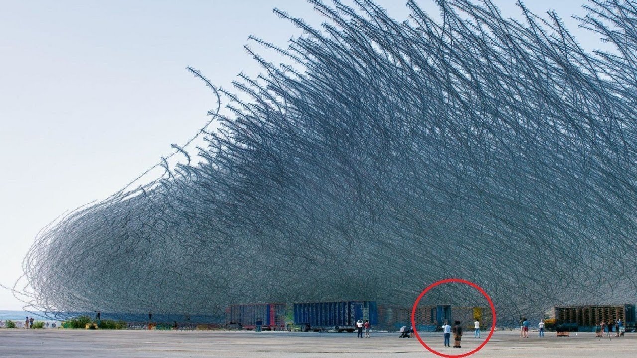 10 Natural Phenomena That Have Shocked Even The Scientists YouTube