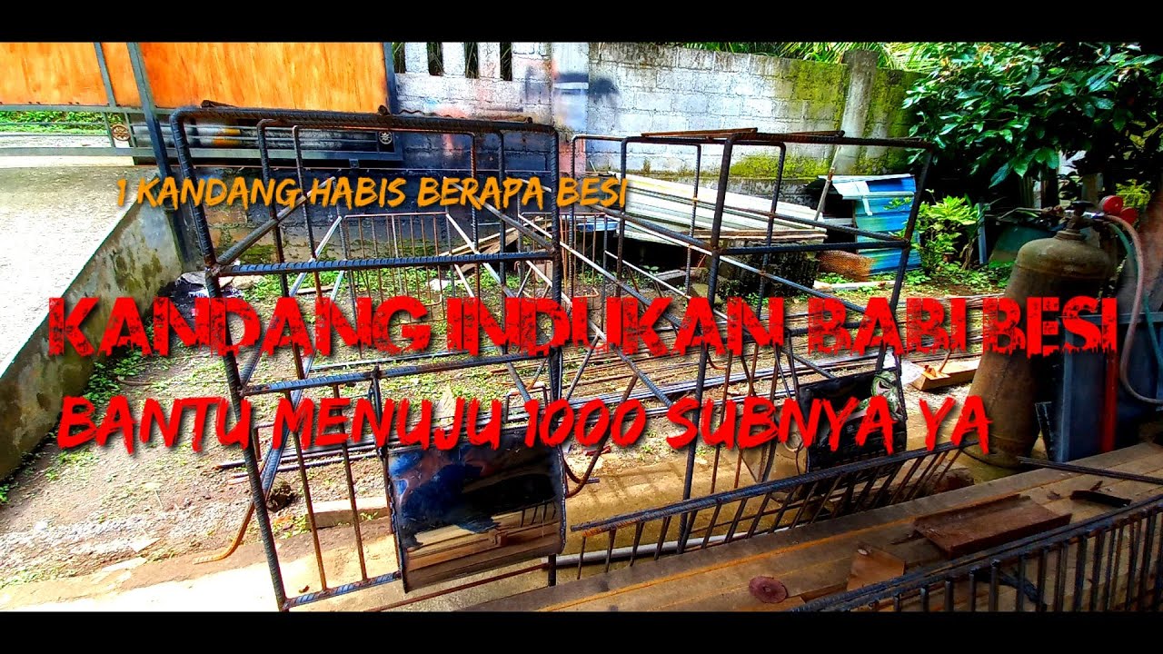 KANDANG BESI BABI INDUKAN MODERN DARI BESI 16mm ‼️ - YouTube
