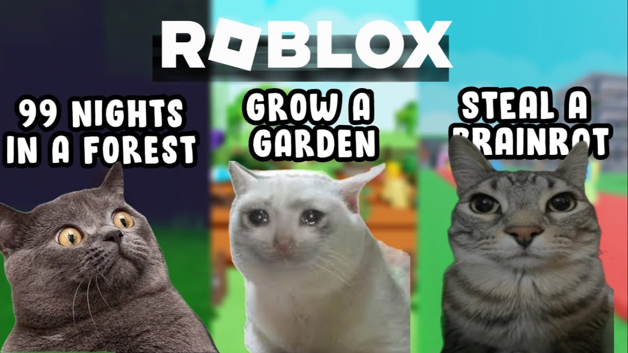 Roblox If It Was Cat Memes... - YouTube