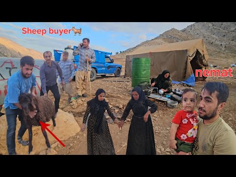 Nomadic Life: Ashraf Selling the Goats for Family Fulfillment | Nemat Suddenly Visit