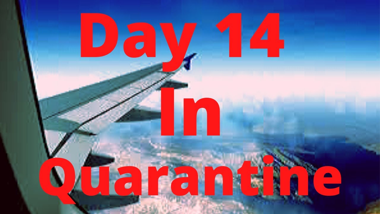 Day 14 In Quarantine - YouTube