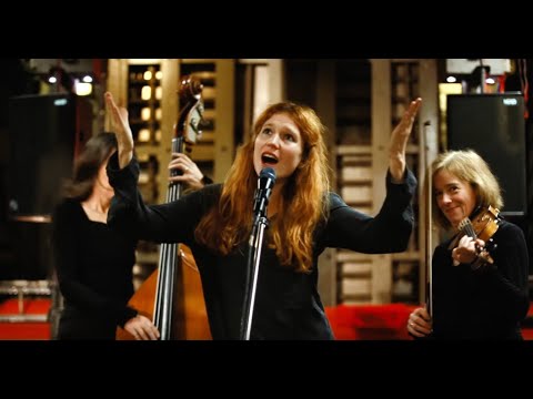 Mischpoke - abi gezunt
