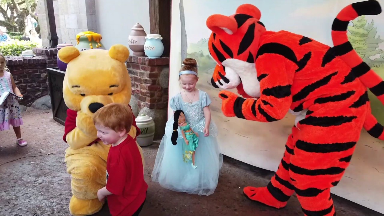 Magical Moment with Pooh in Walt Disney World - YouTube