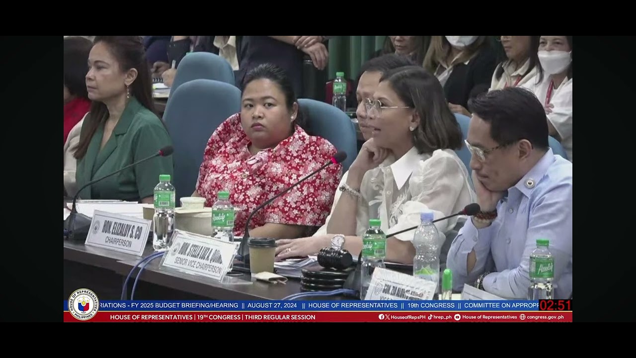 rep. france castro at vp sarah duterte nag kainitan sa 2025 budget ...