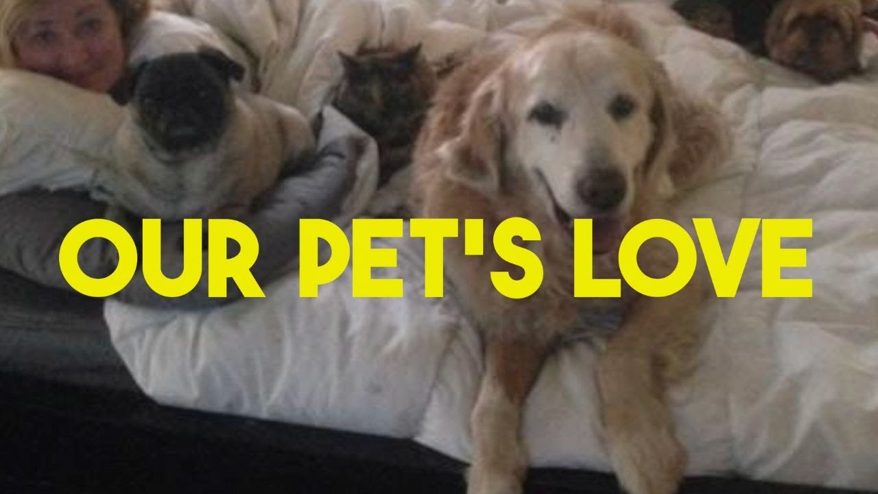 Eric Behr - Our Pet's Love (Official Music Video 2023) - YouTube