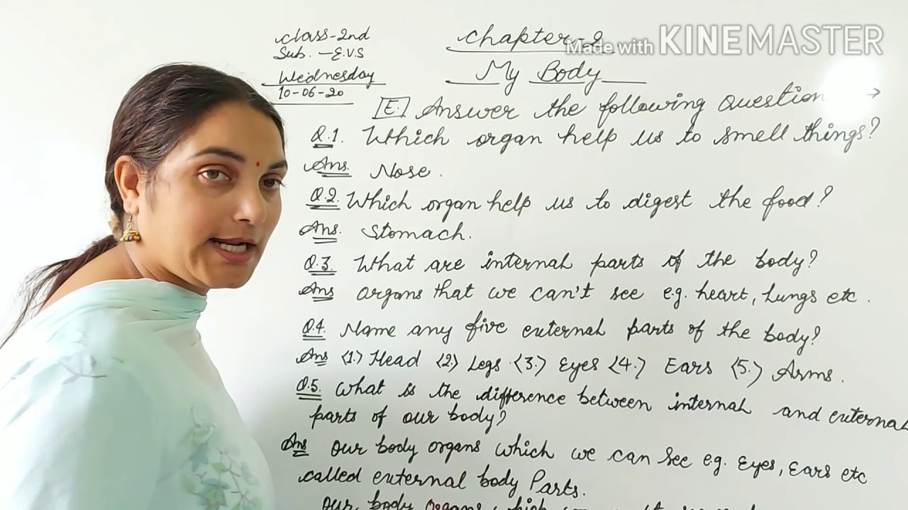 CLASS2ND EVS CHAPTER 2 MY BODY questions ANSWERS HOLIFAITH class2nd-evs-chapter-2-my-body-questions-answers-holifaith
