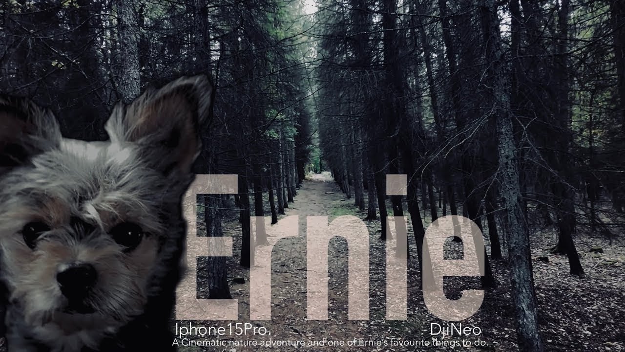 Ernie! Cinematic Nature walk captured on DjiNeo and IphonePro. - YouTube