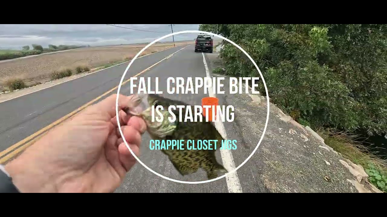 Fall Crappie Bite Has Started! Cloudy or Sunny... They have begin ...