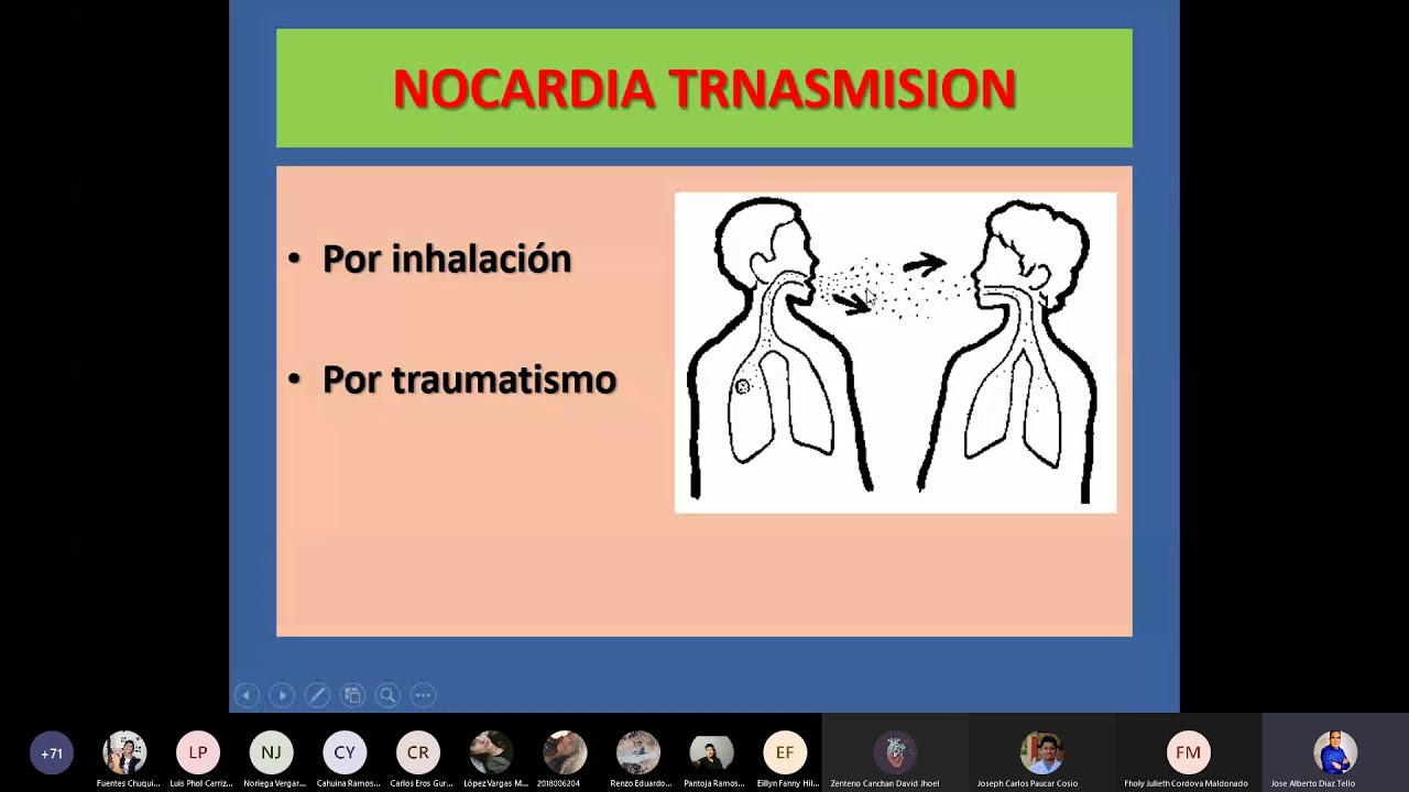 16 NOCARDIA MICRO -TEORIA- - YouTube