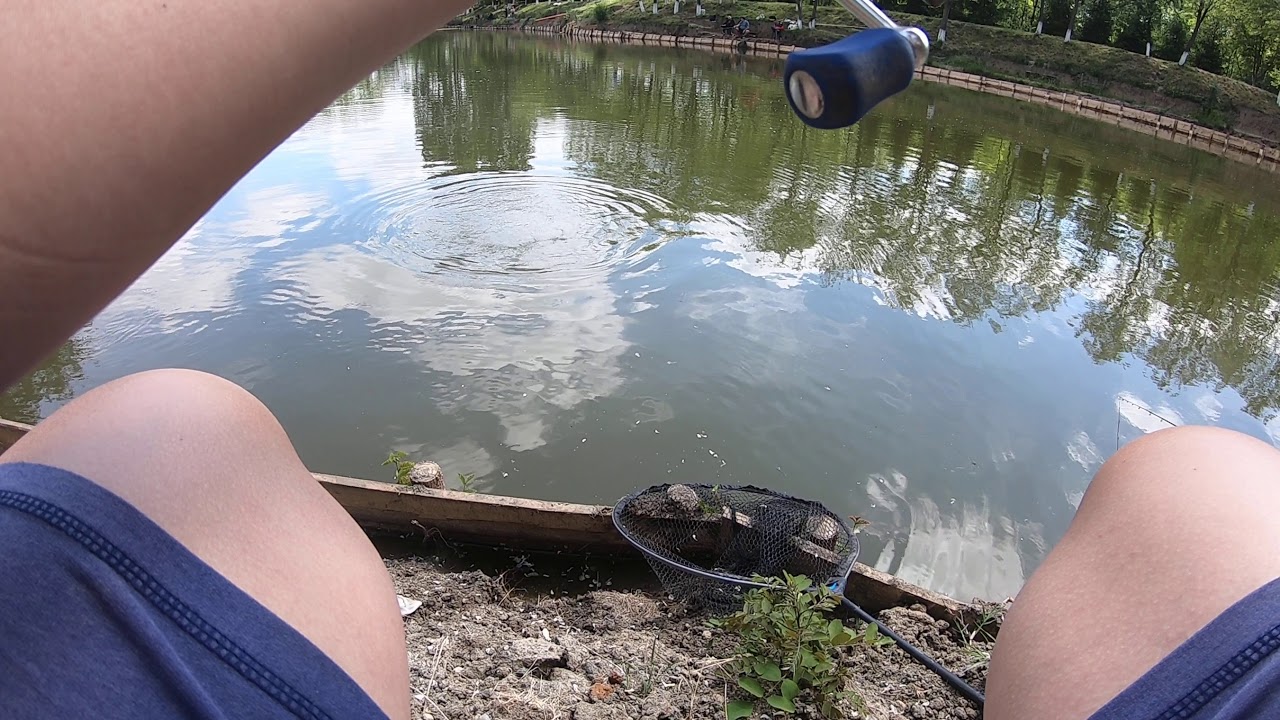 pescuit la feeder balta icloda 2 drill - YouTube