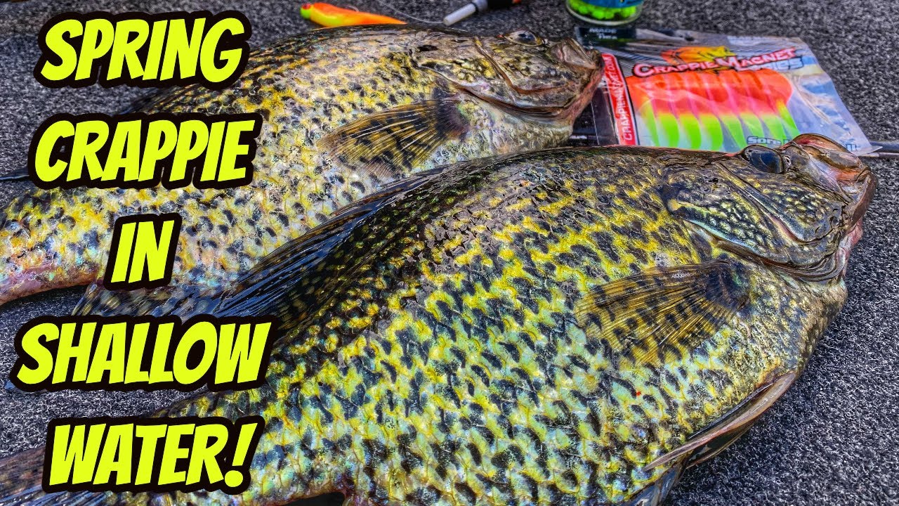SPRING CRAPPIE ON SHALLOW SHORELINES- Tiny baits and Floats Get it done ...