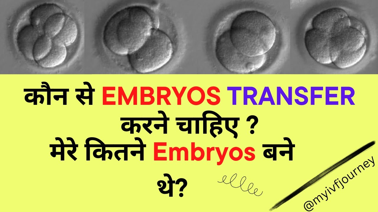 कौन से Embryos transfer करने चाहिए day 3-5 day मेरे कितने Embryos बने ...