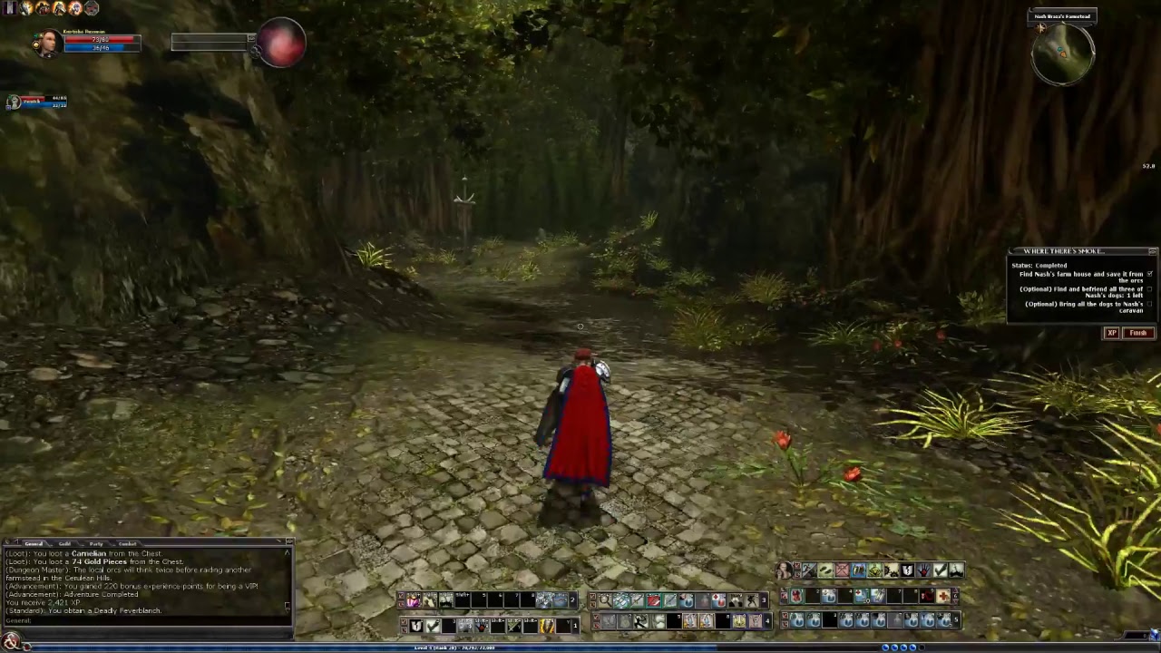 Nash Braza`s Farmstead (The Cerulean Hills) - Dungeon 29 - DnD Online ...