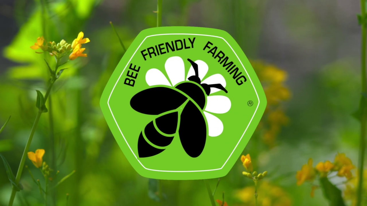 Bee Friendly Farming - YouTube