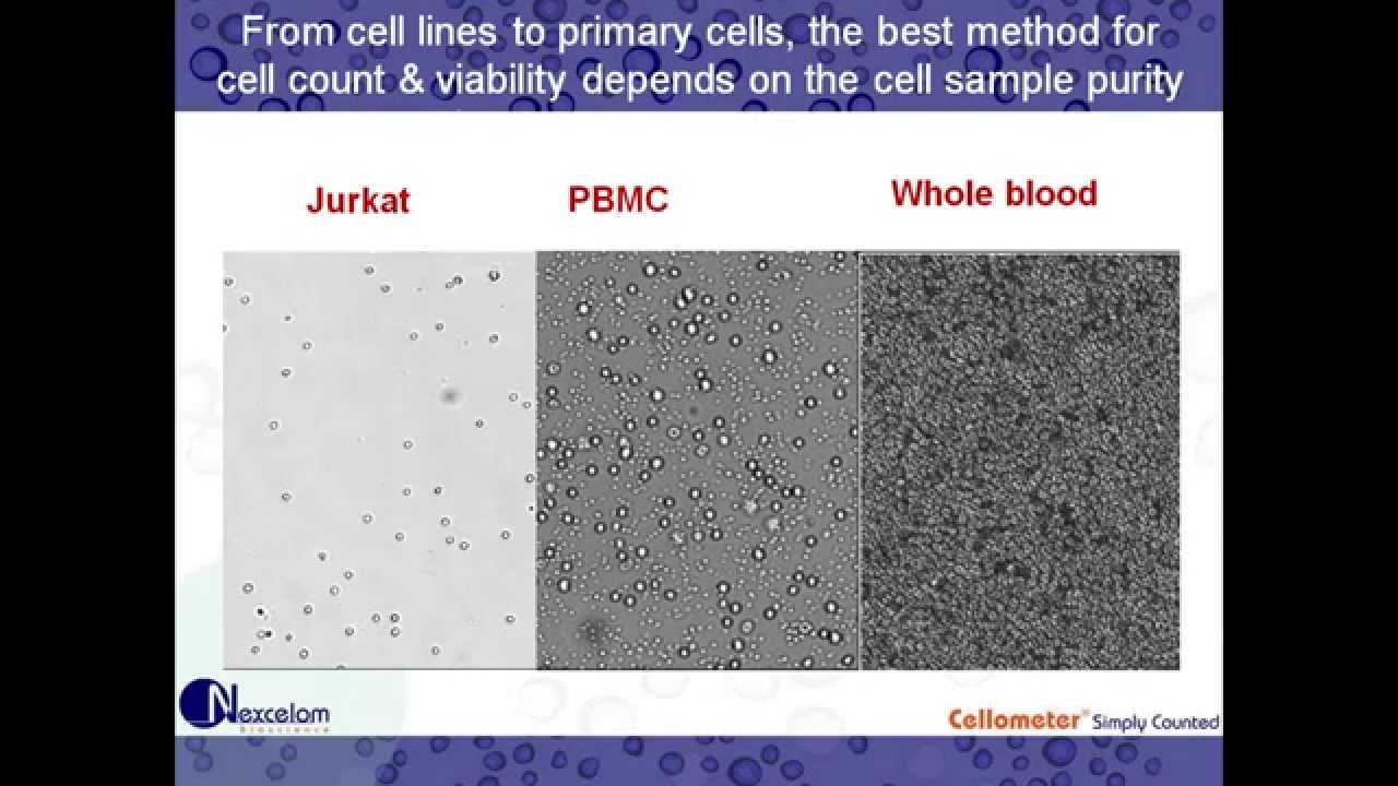 Performing viability assays on Primary Cells using Trypan Blue and AO ...