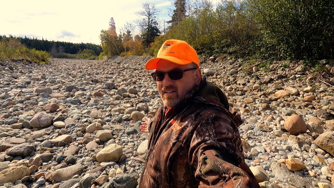 Part 1 of Cold Brook NL, The Great Newfoundland drought of 2024, NL is ...