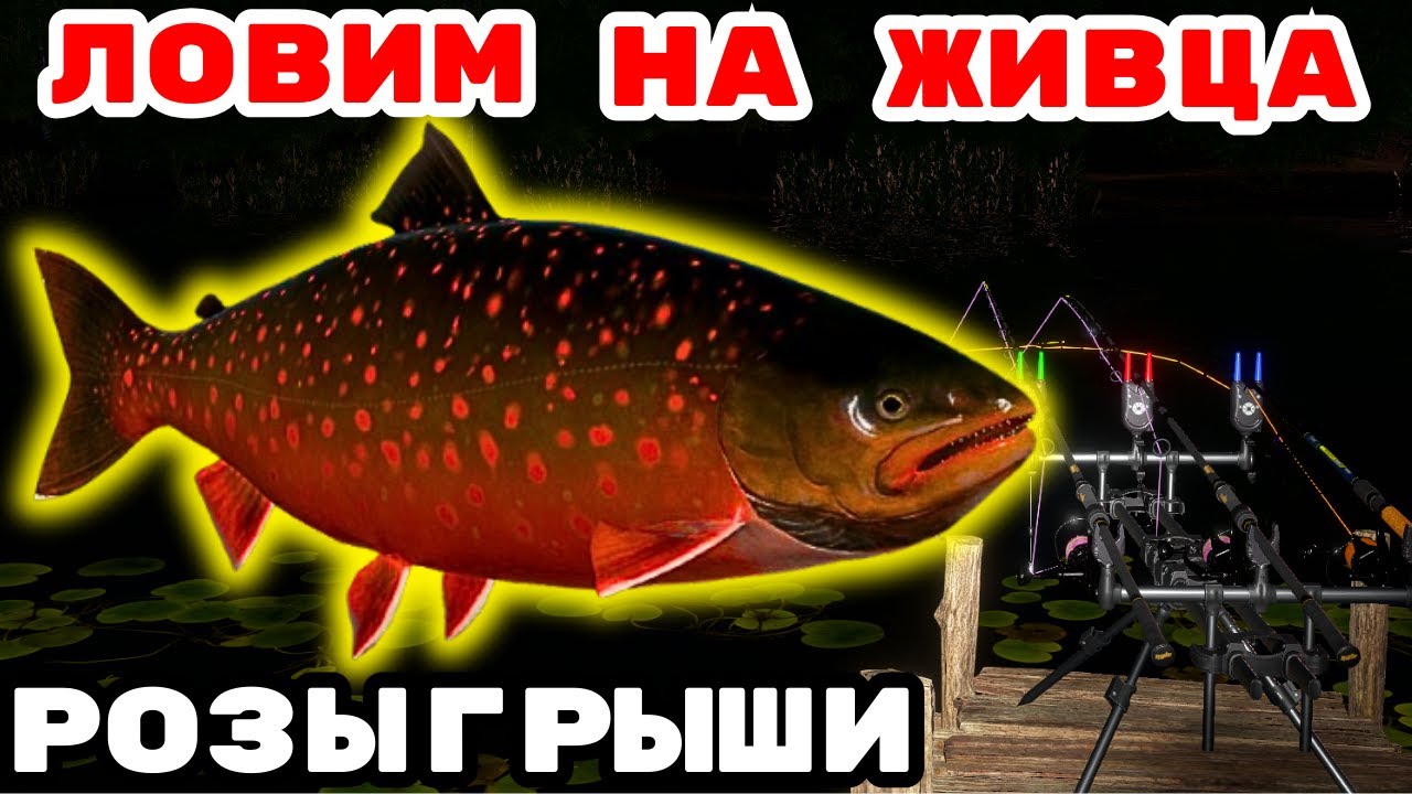 50 БЕСПЛАТНЫХ РУЛЕТОК ДЛЯ ЧАТА 🎁 В РУЛЕТКЕ - РАПТОР, ВЕНГА, РИГАЛ 🔴 ...