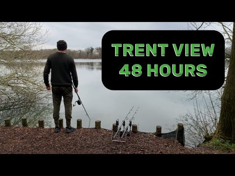 TRENT VIEW FISHERY || CARP FISHING || FEBRUARY 2024 || CRACKING VENUE ...