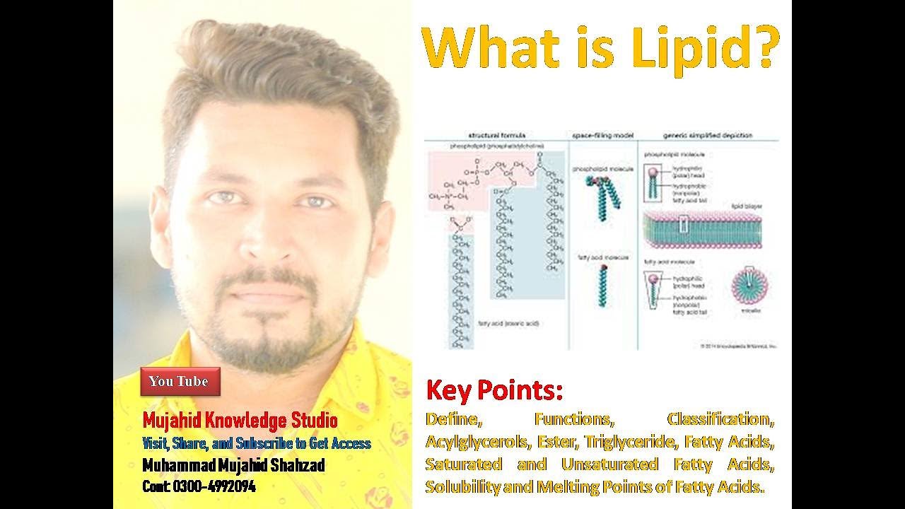 What are Lipids? Define/Structure/Composition/Type/Functions/FSc ...