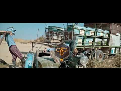 Myrat Molla ft Nobat odeniyazow ary bal offical(2021)