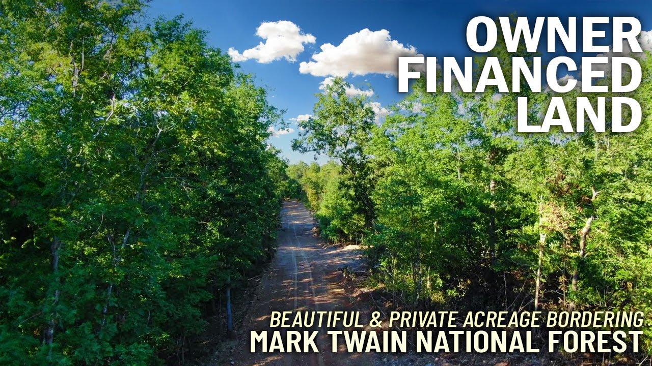 Owner Financed Land for Sale Bordering 50,000 Acre National Forest ...