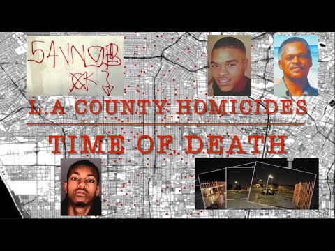 2 Men Murdered by Van Ness Gangster Brims Gang Member in Hyde Park