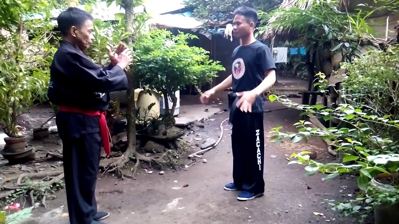 Maharlika mongoose aplication of dancing part2 #6-10 - YouTube