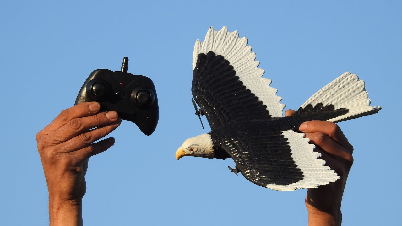 EAGLE RC Airplane Unbox/Test - YouTube