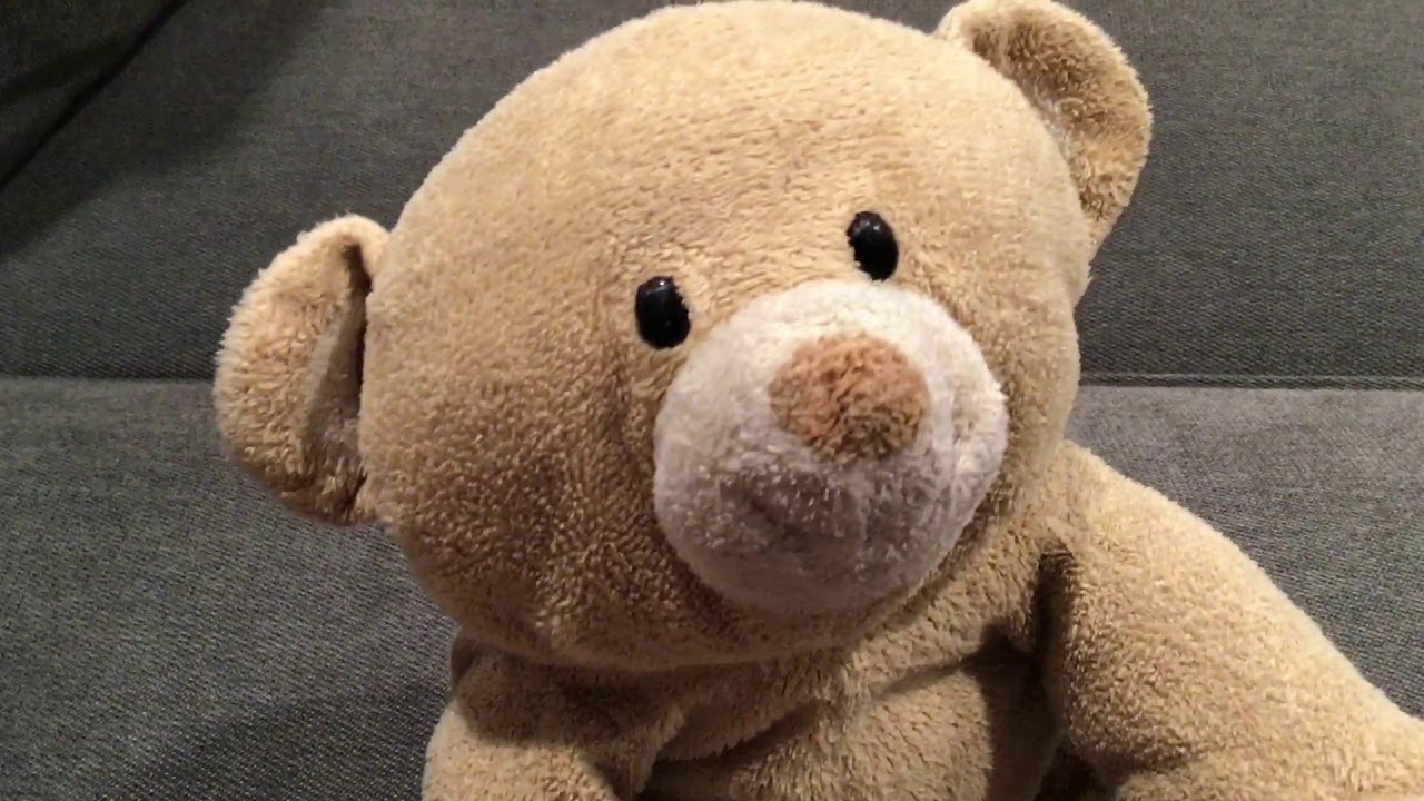 Bear-Bear VS the World, Bear-Bear turns on the Boob Tube - YouTube