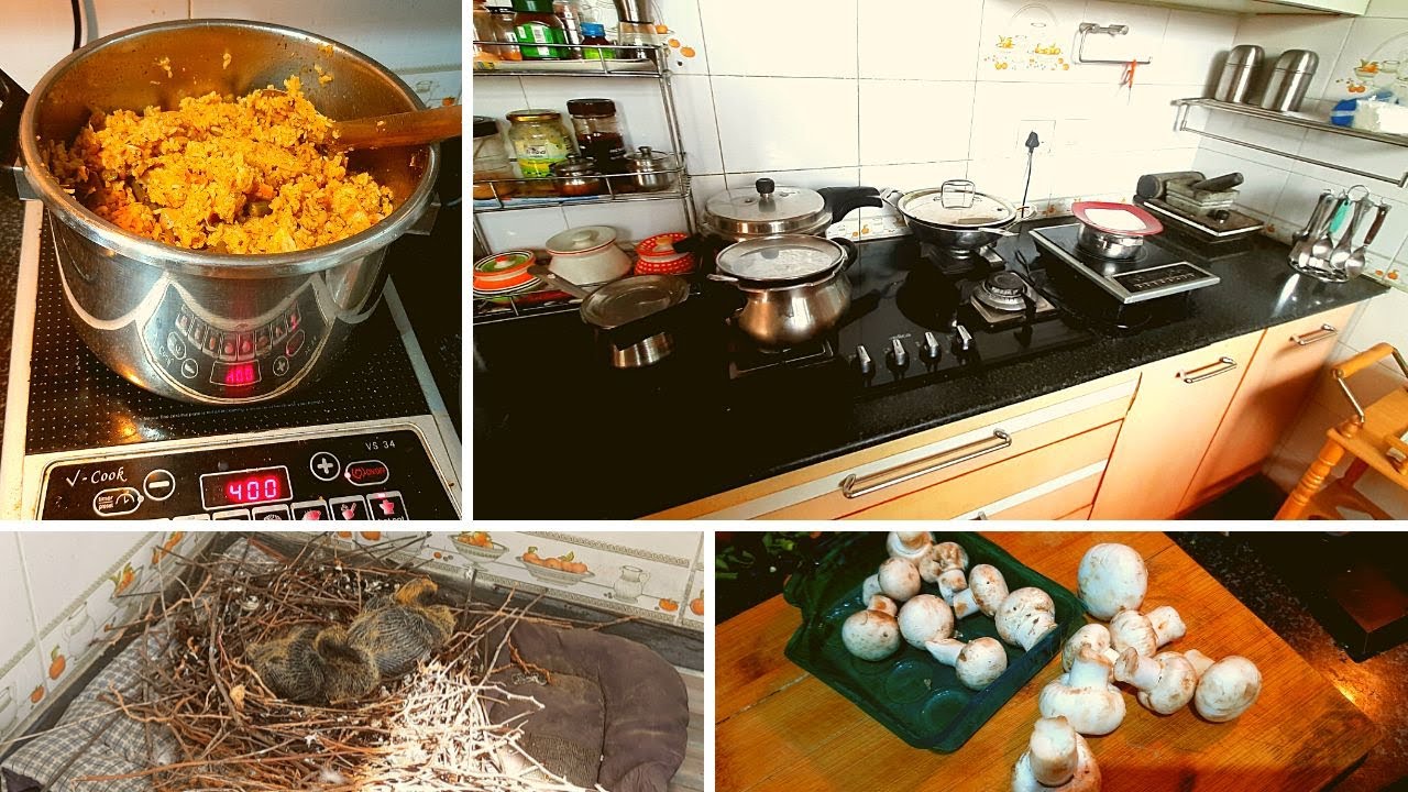 Udambu Muddiyaama Velai Paathutu Iruken | Addupu Illama Samayal Panni ...