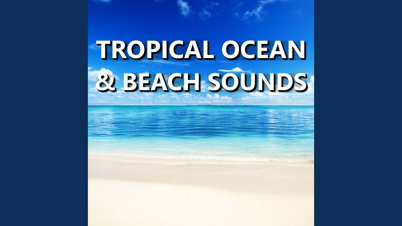 Tropical Sounds - YouTube