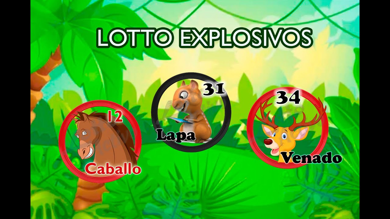 JUEVES 22-02-2024 DATOS LOTTO ACTIVO, GRANJITA, GUACHARO, SELVA PLUS ...