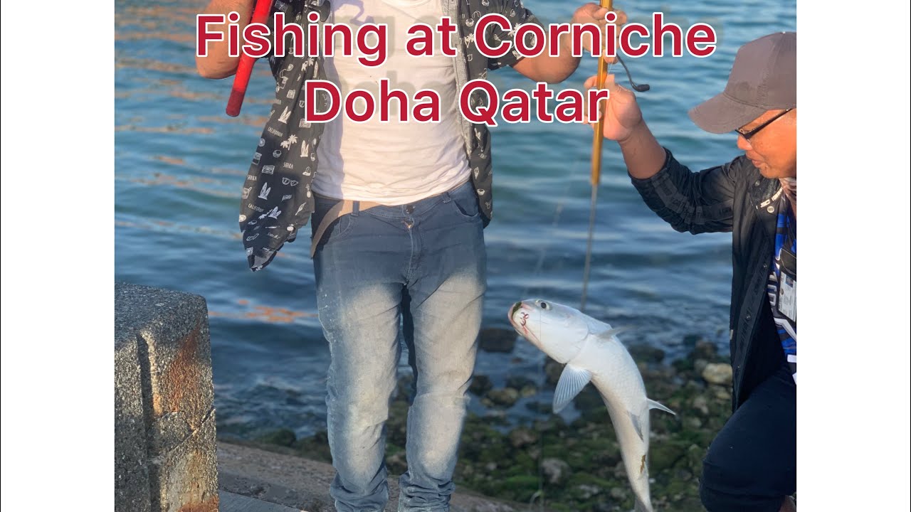 BIG MILK FISHING 🎣 | CORNICH | DOHA | QATAR - YouTube