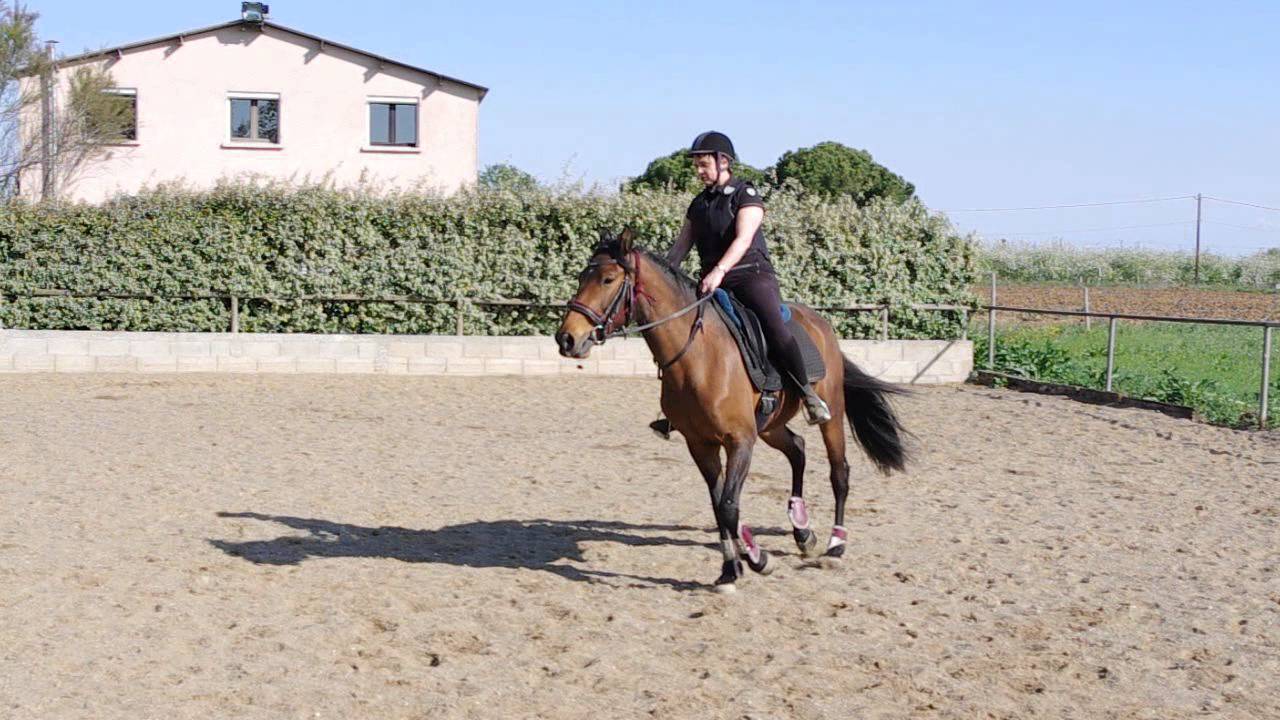 vanoka first in mauguio 053 - YouTube