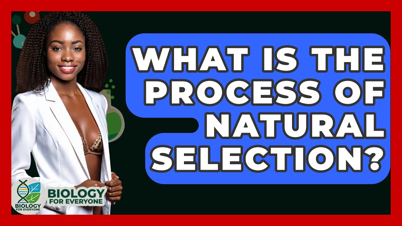 What Is The Process Of Natural Selection? - Biology For Everyone - YouTube