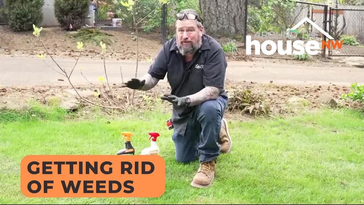 Eric’s Pro-Tips: Spring Weeding - YouTube