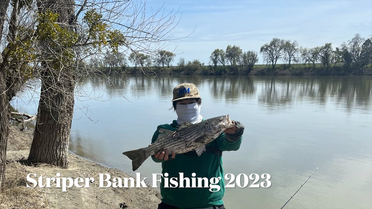 Sacramento River Spring Striper Fishing - YouTube