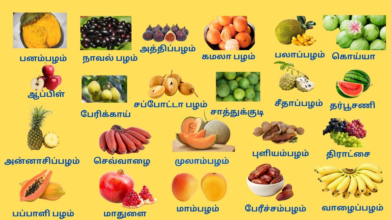 🍎🍌பழங்களின் பெயர்கள் தமிழில் | Learn fruits names in Tamil | All ...