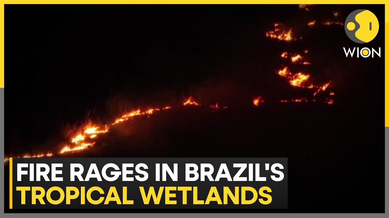 Brazil Wildfire: Satellite data shows fires in Brazilian wetlands have ...
