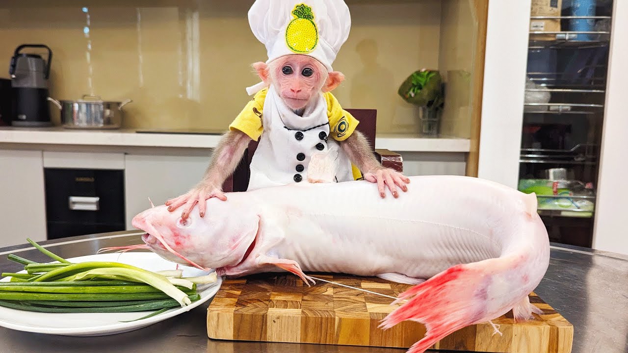 Whole Giant Fish 🐋 Relaxing Cooking For Monkey BiBi To Stop Sick - YouTube